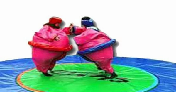 Sumo Wrestling Suits With Mat For Sale, Buy Sumo Wrestling Suits With ...