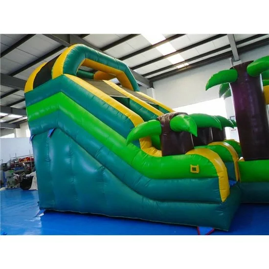 Tropical Water Slide For Sale, Buy Tropical Water Slide - Inflatable ...